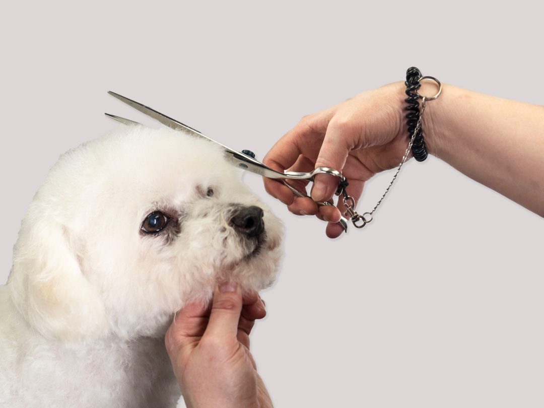 HOME - Grooming Safety by Jessica